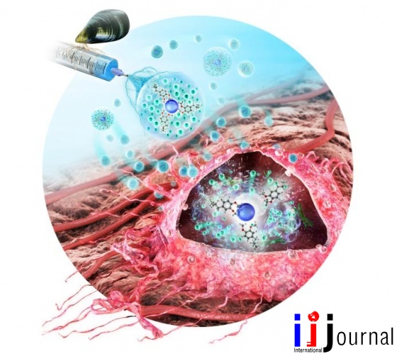 POSTECH, 홍합 접착 메커니즘 이용한 접착성 단백질 나노입자 개발