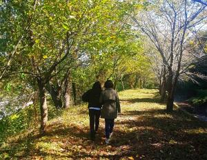 경주의 숨겨진 둘레길 명소 새로이 정비